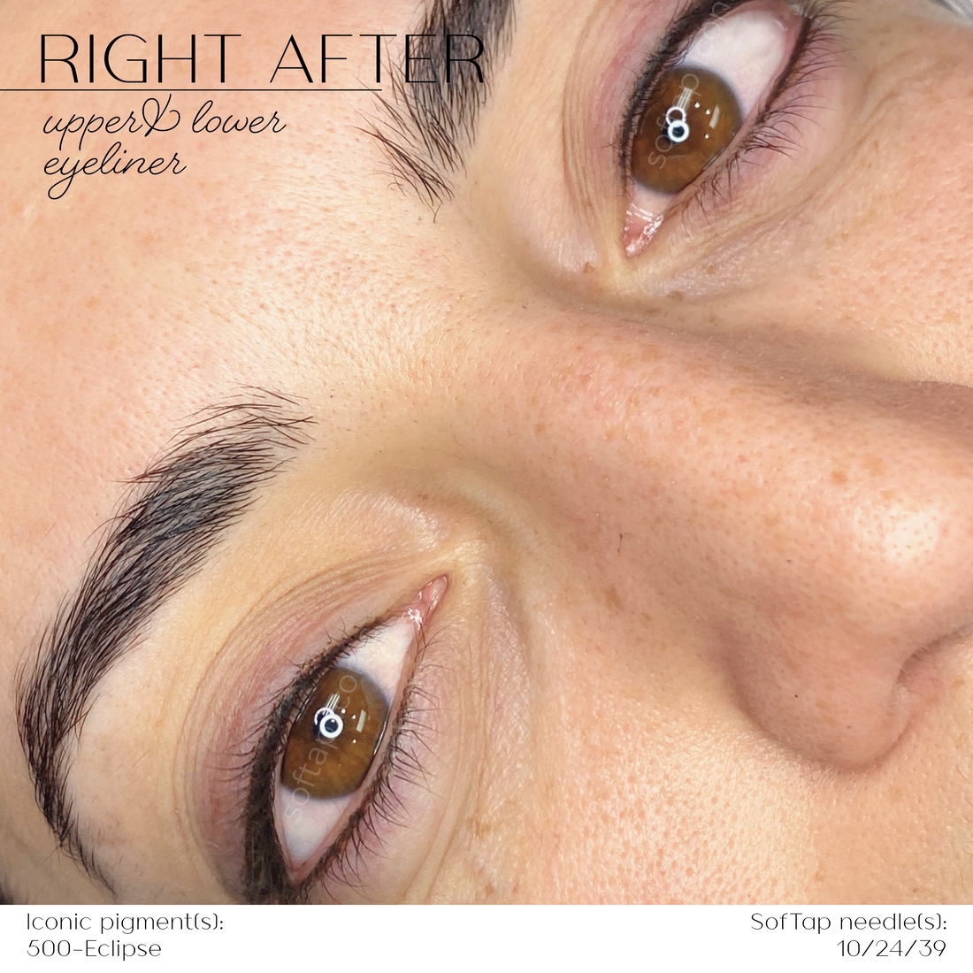 Iconic SofTap Pigments