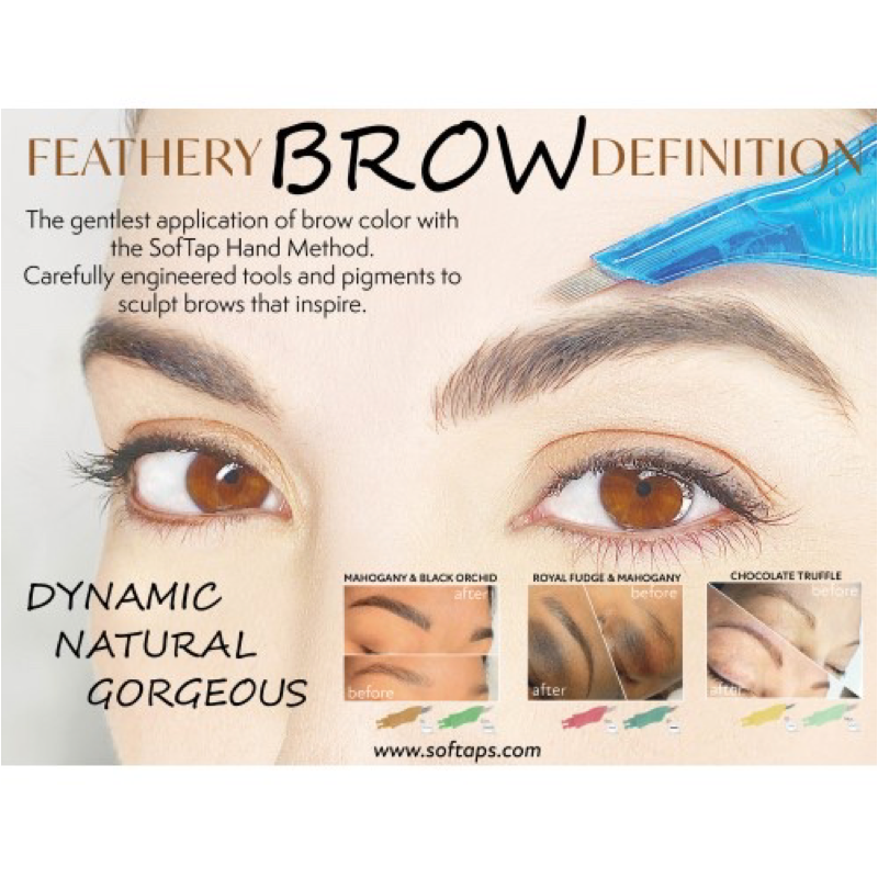 Before & After Eye Brow Poster – SofTap